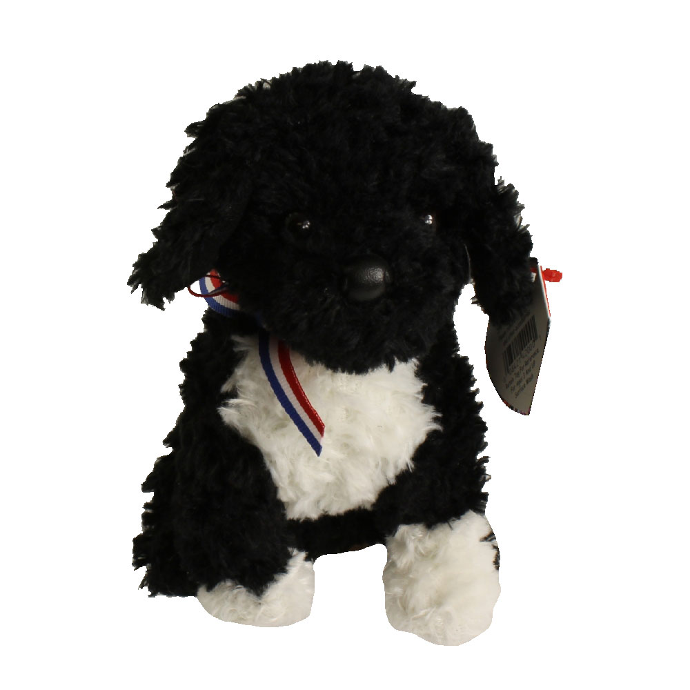 TY Beanie Baby 2.0 - BO the Portuguese Water Dog (6 inch) (Mint ...