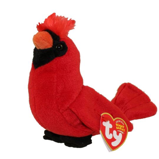 Baby Red Bird